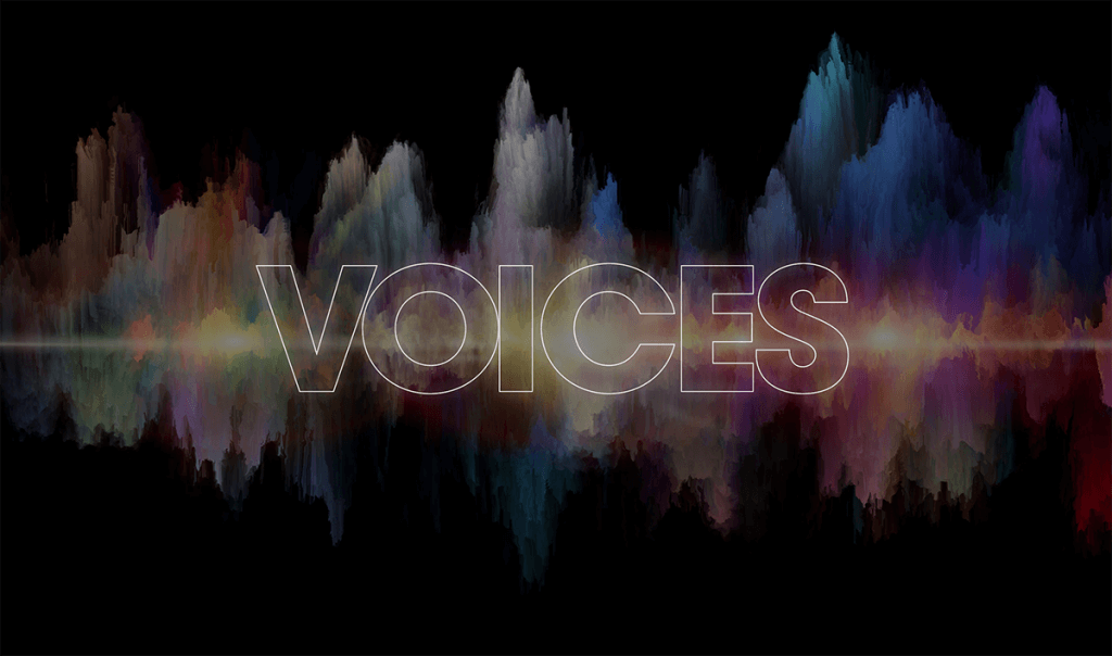 Management Team | Bell Potter